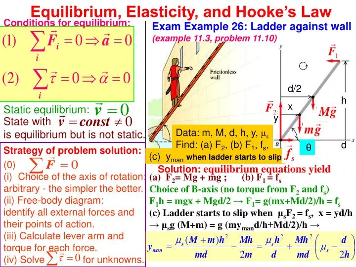 PPT - Equilibrium, Elasticity, and Hooke’s Law PowerPoint Presentation ...