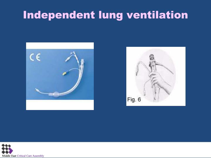 PPT - Mechanical Ventilation in Special Conditions PowerPoint ...