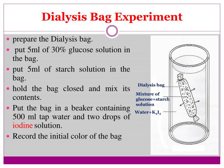 PPT - Practical Biology Biol 101 Lab 6 PowerPoint Presentation - ID:1770437