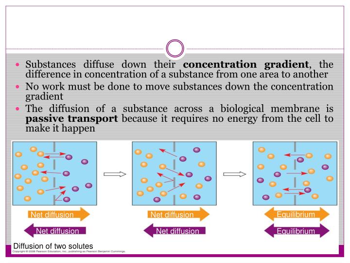 PPT - Practical Biology Biol 101 Lab 6 PowerPoint Presentation - ID:1770437