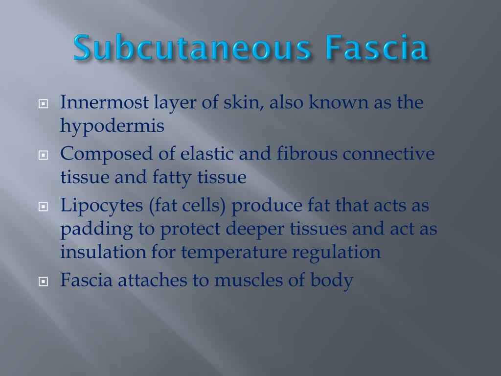 PPT - Anatomy, Physiology, and Disease PowerPoint Presentation, free ...