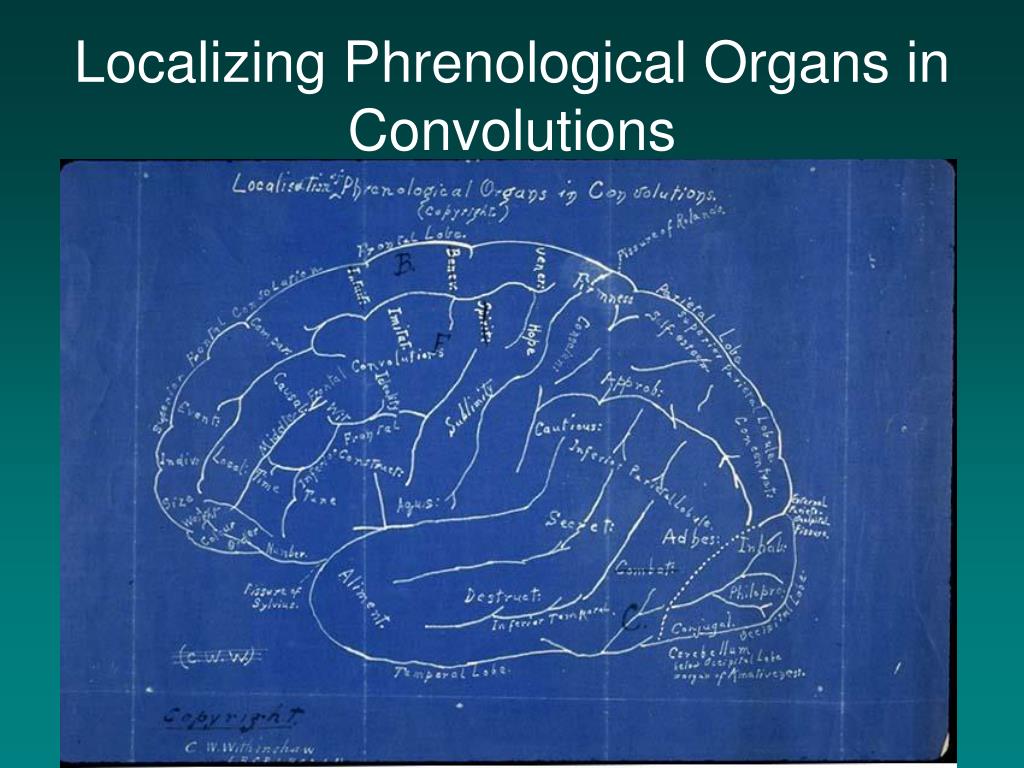 PPT - Brains, Minds and Heads: Phrenology in the Nineteenth Century ...