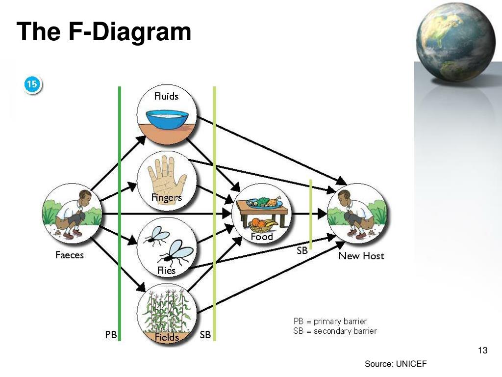 PPT - Food Security and Nutrition Network Regional Knowledge Sharing ...