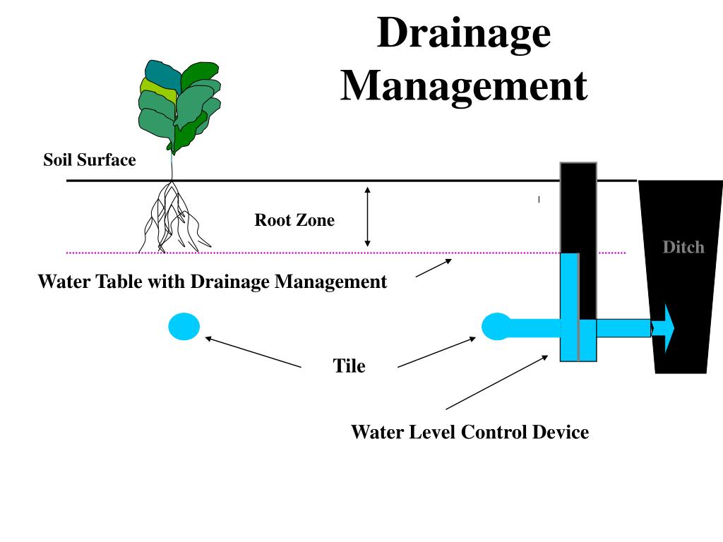 PPT - Drainage Management to Improve Water Quality and Enhanced ...