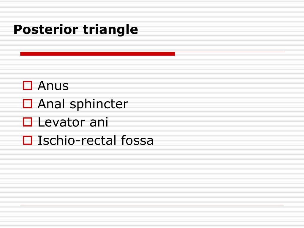 PPT - ANATOMY OF THE FEMALE PELVIC FLOOR AND PERINEUM Dr. A. O. FAWOLE ...