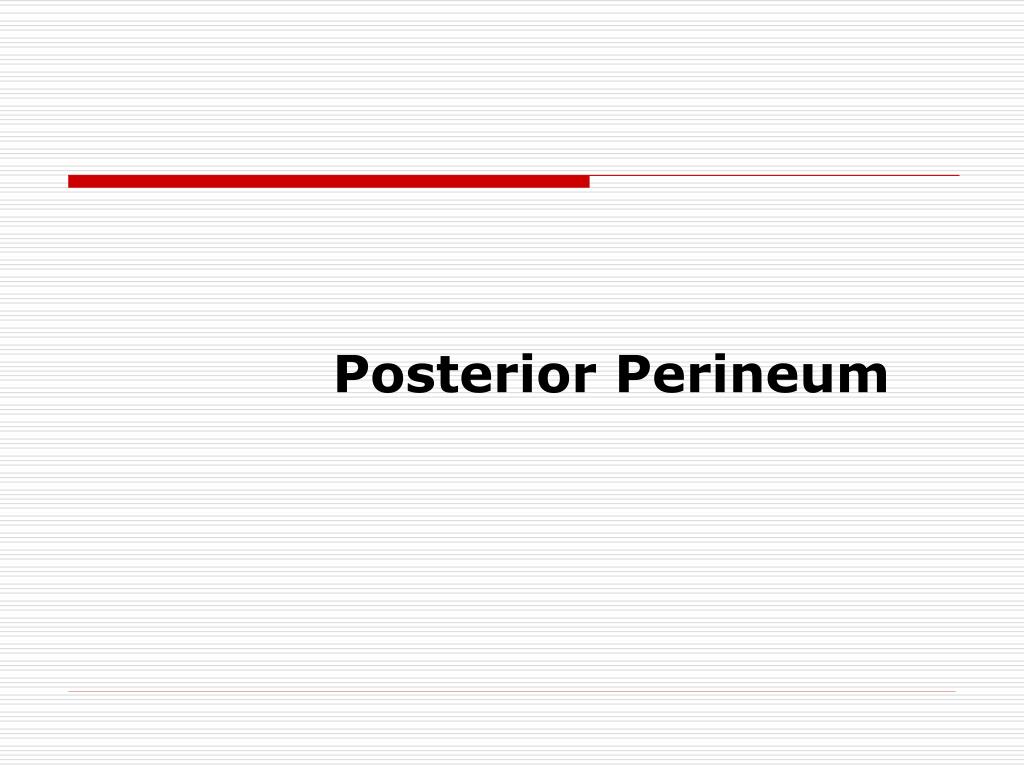 PPT - ANATOMY OF THE FEMALE PELVIC FLOOR AND PERINEUM Dr. A. O. FAWOLE ...