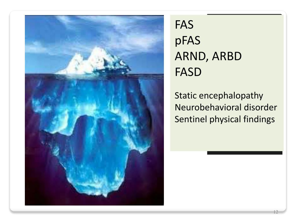 PPT - Caregiving for Children Prenatally Exposed to Alcohol PowerPoint ...