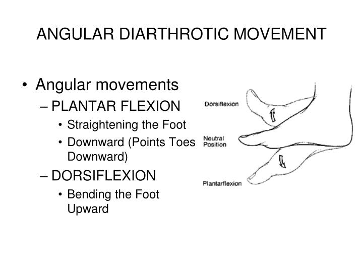 PPT - Articulations Chapter 9 PowerPoint Presentation - ID:1773420
