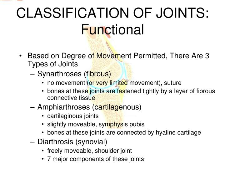 PPT - Articulations Chapter 9 PowerPoint Presentation - ID:1773420
