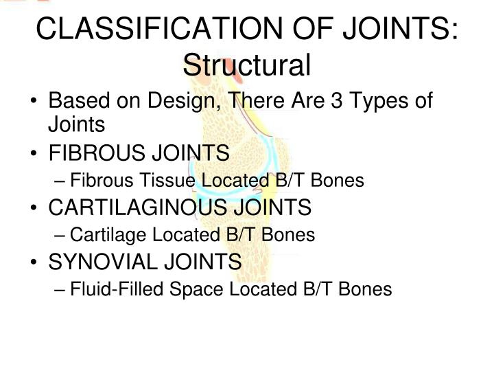 PPT - Articulations Chapter 9 PowerPoint Presentation - ID:1773420