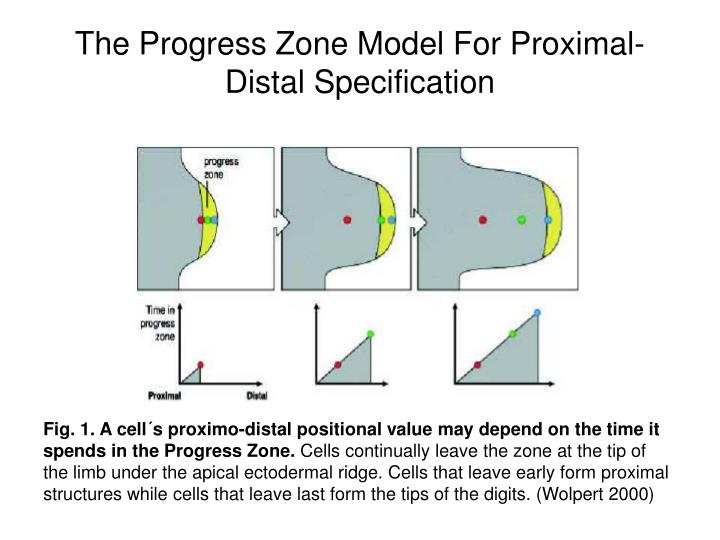 PPT - Introduction To Pattern Formation PowerPoint Presentation - ID ...