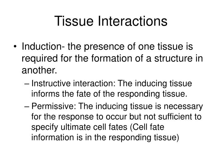 PPT - Introduction To Pattern Formation PowerPoint Presentation - ID ...