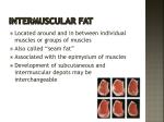 PPT - Adipose Tissue PowerPoint Presentation - ID:1773810