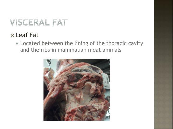 PPT - Adipose Tissue PowerPoint Presentation - ID:1773810
