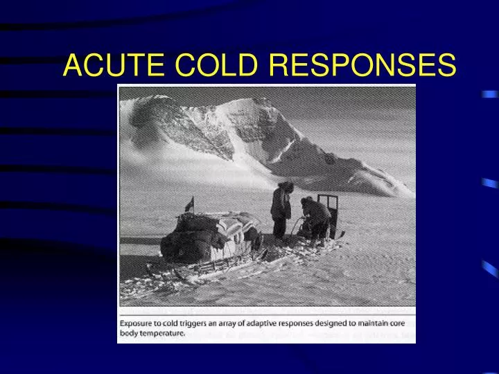 PPT - ACUTE COLD RESPONSES PowerPoint Presentation, free download - ID ...