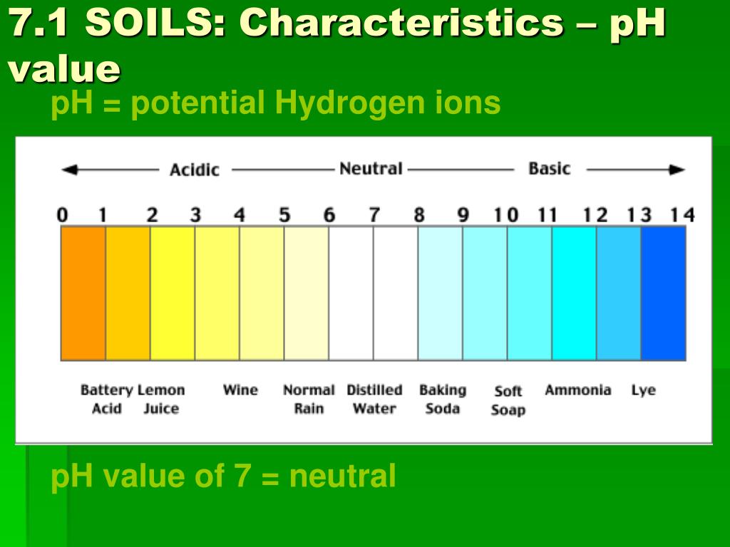 PPT - Soils Pedology… the scientific study of soils. The surface layer ...