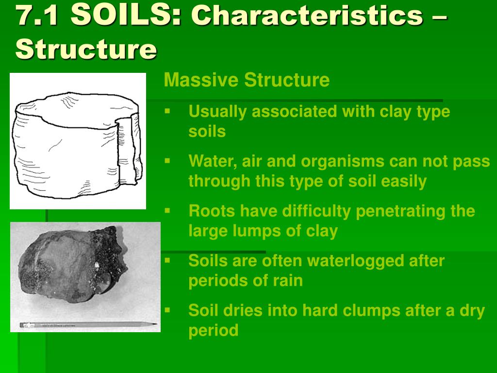 PPT - Soils Pedology… the scientific study of soils. The surface layer ...