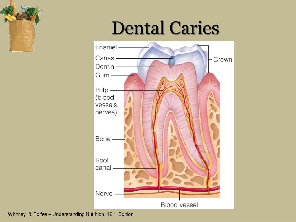 PPT - The Carbohydrates: Sugars, Starches, and Fibers PowerPoint ...