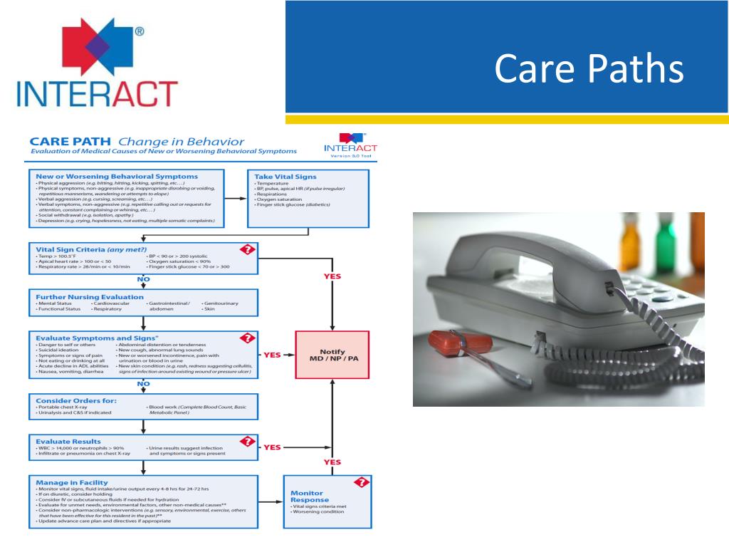 PPT - Session 3: Biting the Elephant Mary Perloe RN, MS, GNP & Adrienne ...