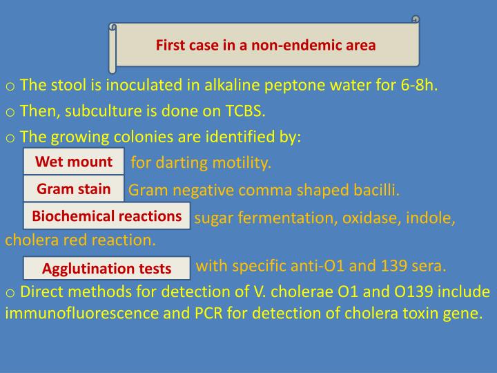 PPT - VIBRIOS PowerPoint Presentation - ID:1774390