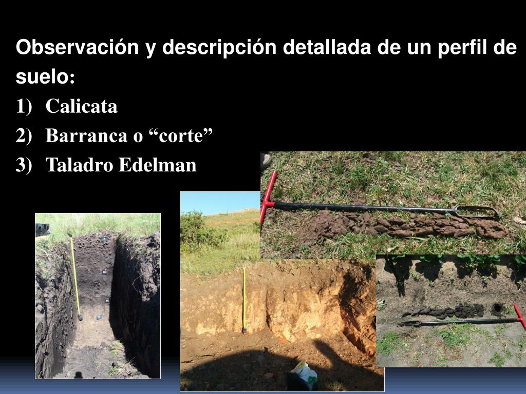 PPT - UNIVERSIDAD DE LA EMPRESA FACULTAD DE CIENCIAS AGRARIAS ...