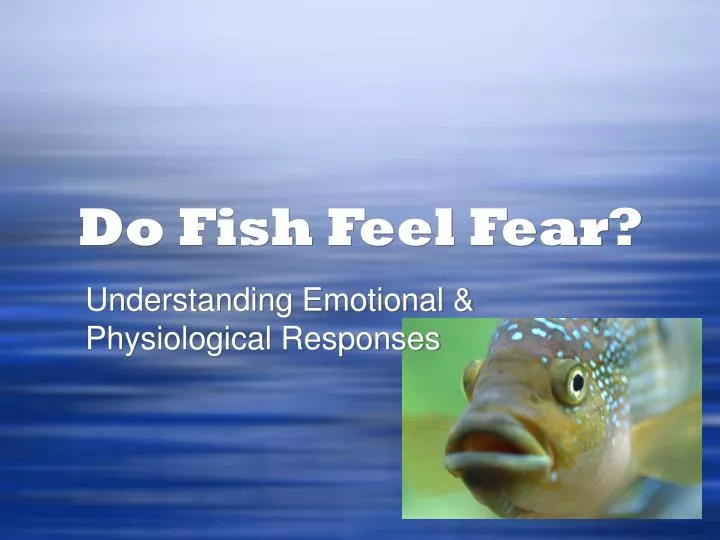 PPT - Do Fish Feel Fear? PowerPoint Presentation, free download - ID ...
