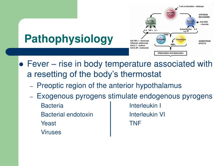 PPT - Fever PowerPoint Presentation - ID:1774948