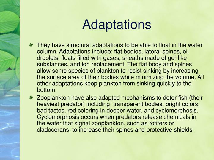 PPT - Plankton PowerPoint Presentation - ID:1775248