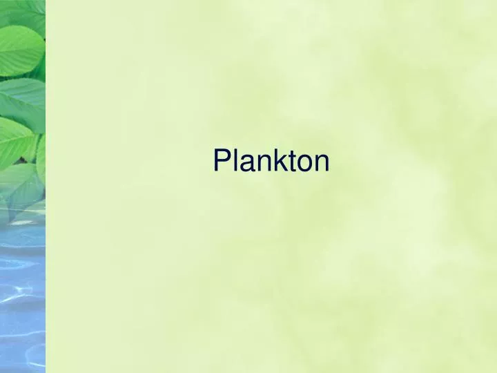 Ppt Planktonic Organisms Powerpoint Presentation Free