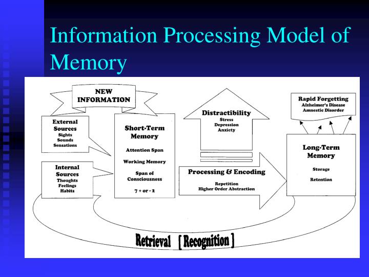 PPT - Wounds of War: Traumatic Brain Injury PowerPoint Presentation ...