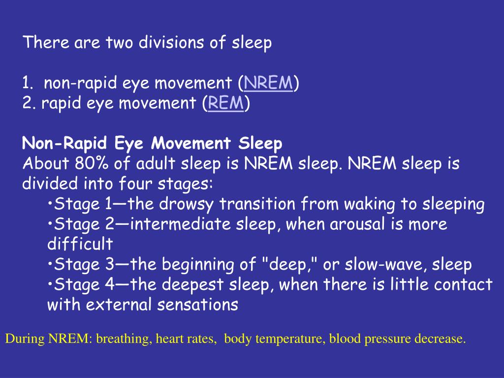 PPT - SLEEP Circadian Humans spend 1/3 of life sleeping (well over ...