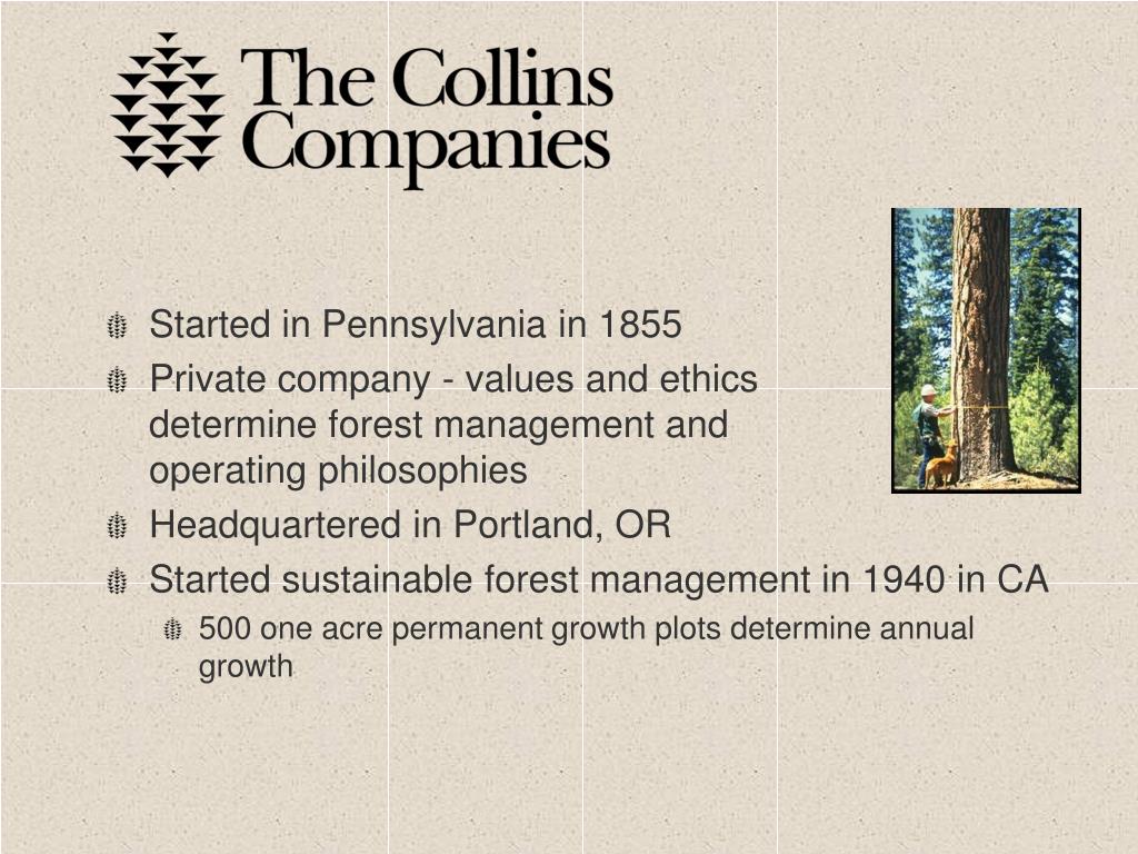 PPT - Business Environment A Look into the Collins Companies PowerPoint ...