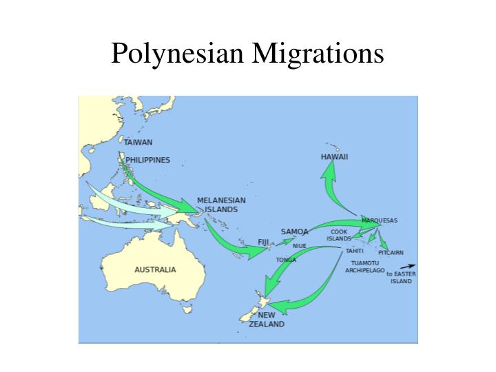 PPT - Island Biogeography PowerPoint Presentation - ID:1775989