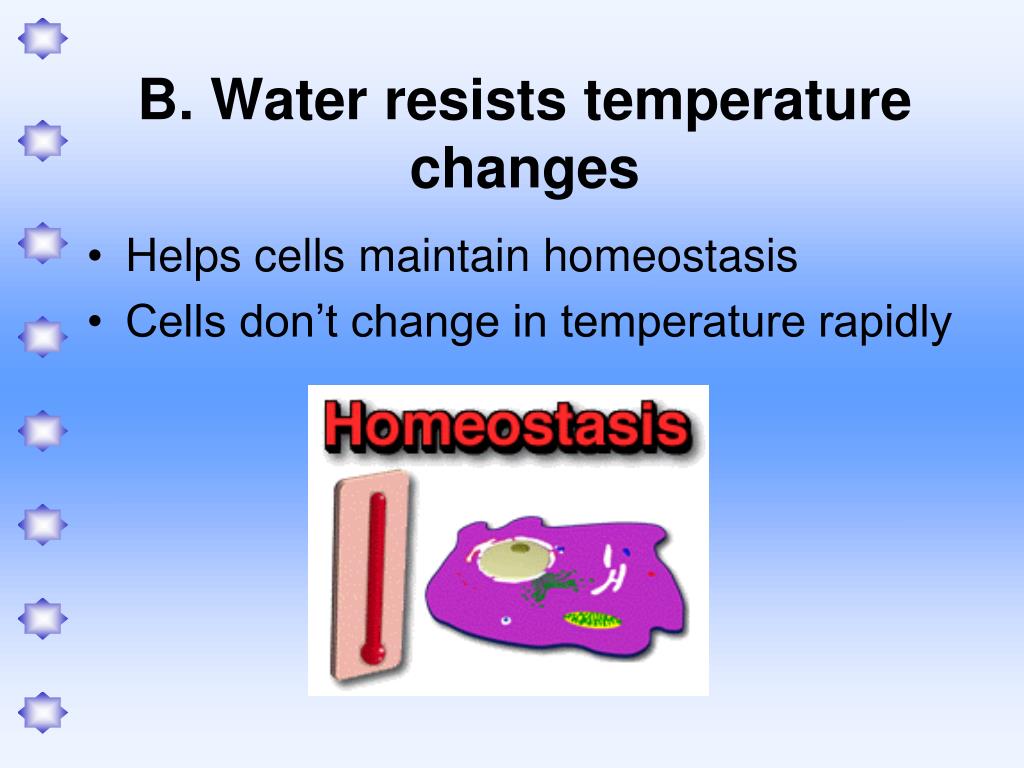 PPT - Biology Biochemistry Unit Chapter 2 The Chemistry of Life ...