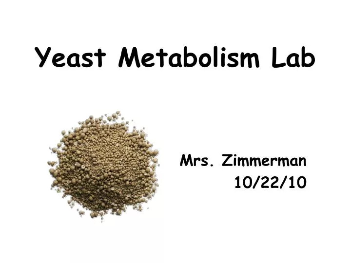 PPT - Yeast Metabolism Lab PowerPoint Presentation, free download - ID ...