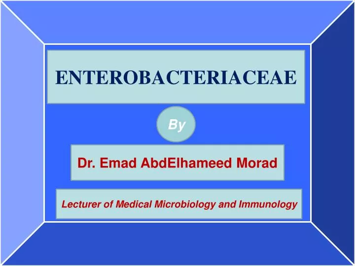 PPT - ENTEROBACTERIACEAE PowerPoint Presentation, free download - ID ...