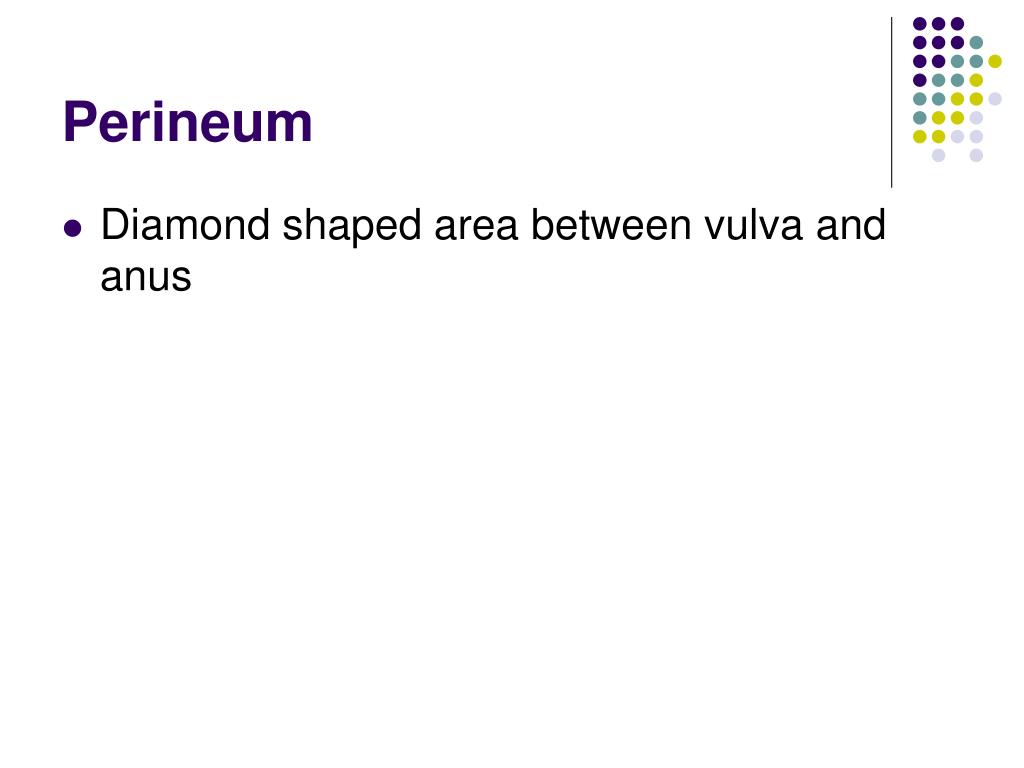 PPT - Female & Male Reproductive Systems PowerPoint Presentation, free ...