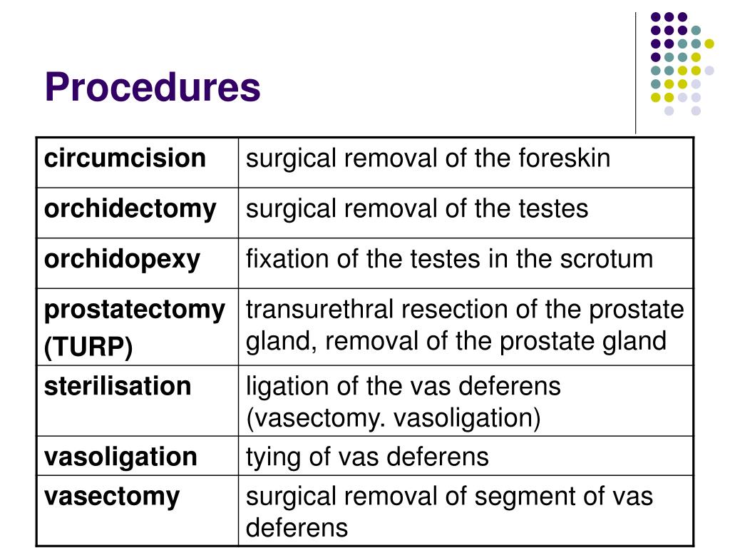 PPT - Female & Male Reproductive Systems PowerPoint Presentation - ID ...