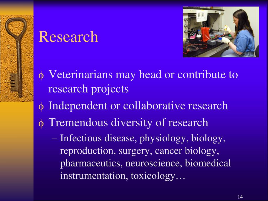 PPT - Laboratory Animal Medicine PowerPoint Presentation, free download ...