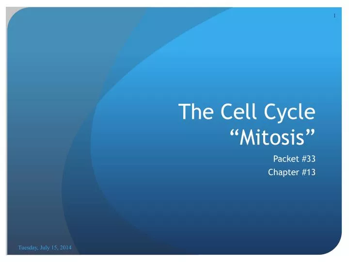 PPT - The Cell Cycle “Mitosis” PowerPoint Presentation, free download ...