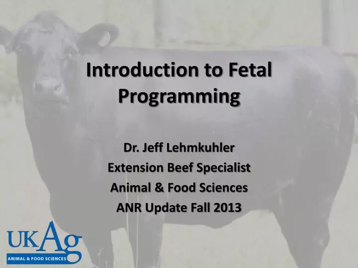 PPT - Introduction to Fetal Programming PowerPoint Presentation, free ...