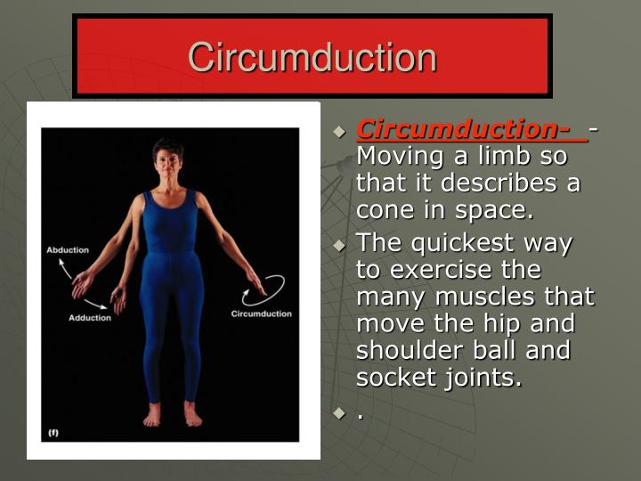 PPT - The Joints of the Skeleton System PowerPoint Presentation - ID ...