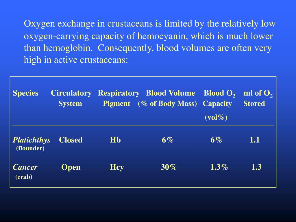 PPT - BIOLOGY 457/657 PHYSIOLOGY OF MARINE & ESTUARINE ANIMALS ...