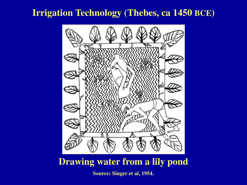 PPT - Ancient Egyptian Agriculture and the Origins of Horticulture ...