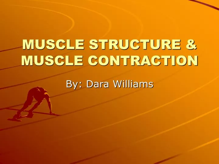 PPT - MUSCLE STRUCTURE & MUSCLE CONTRACTION PowerPoint Presentation ...