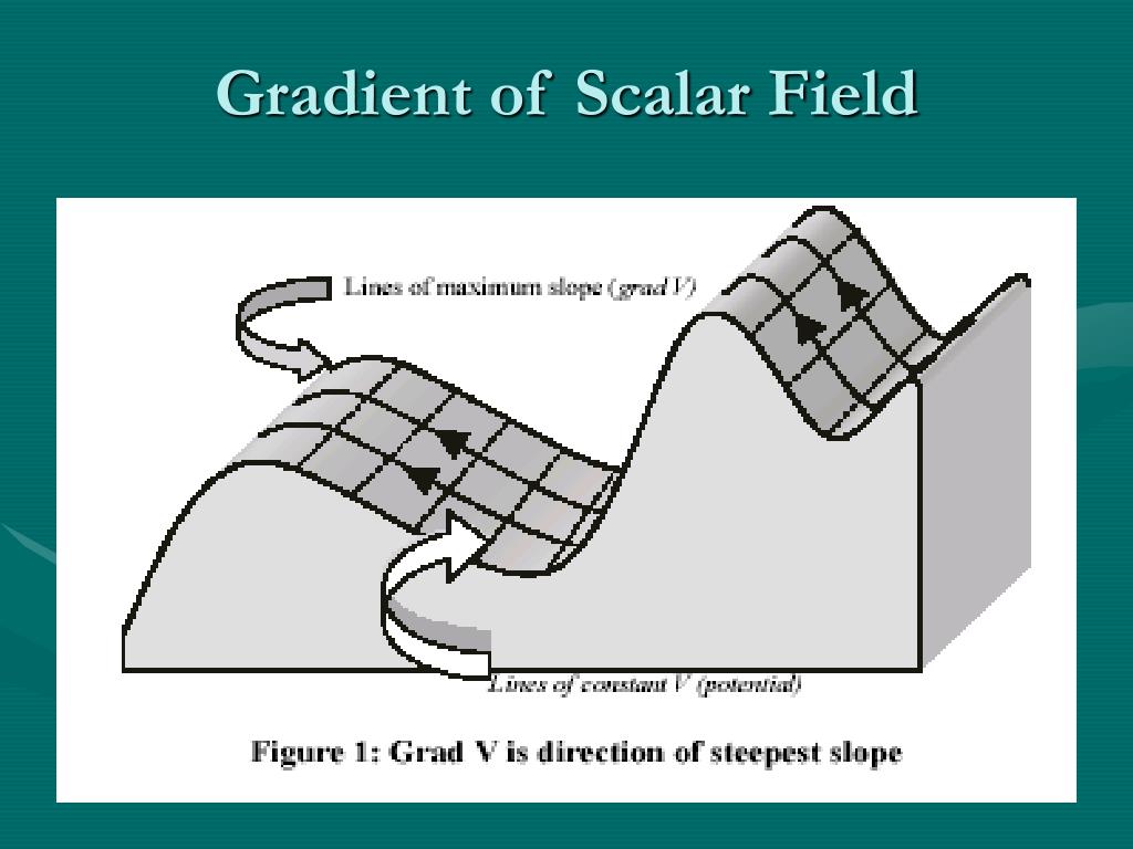 PPT - Gradient of Scalar Field PowerPoint Presentation, free download ... PPT - Gradient of Scalar Field PowerPoint Presentation, free download ...