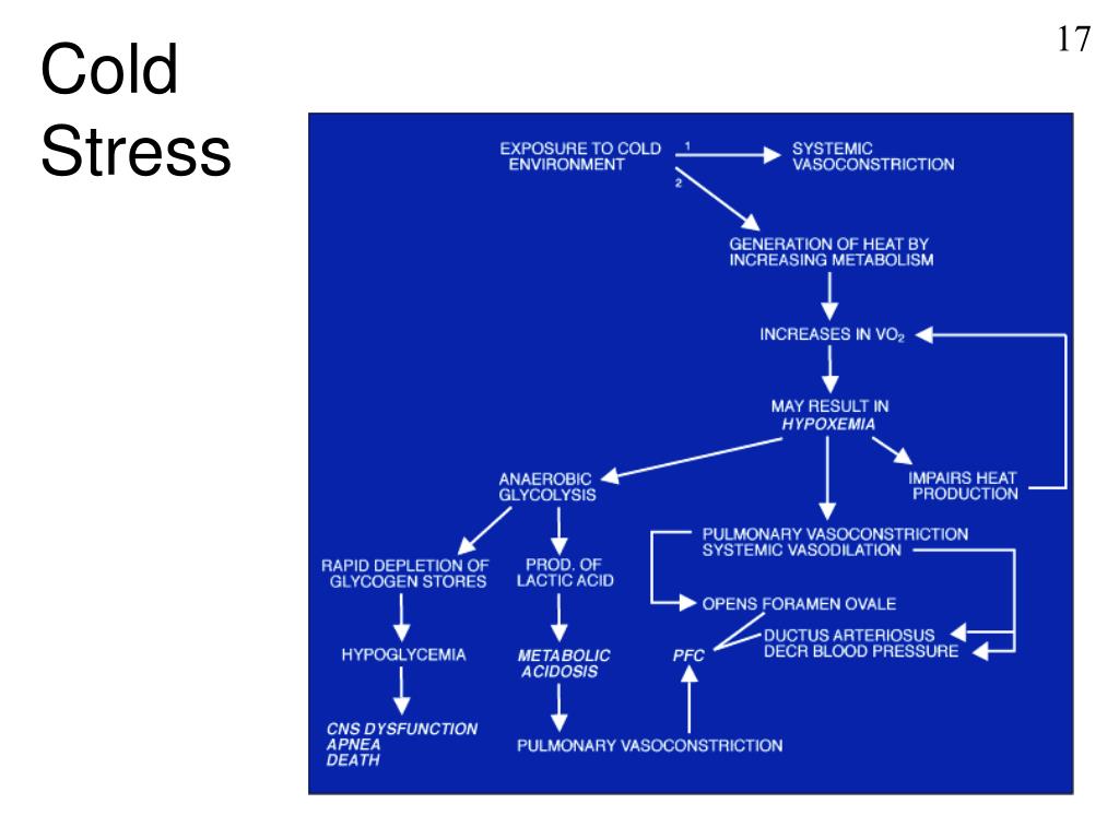PPT - Neonatal/Pediatric Cardiopulmonary Care PowerPoint Presentation ...