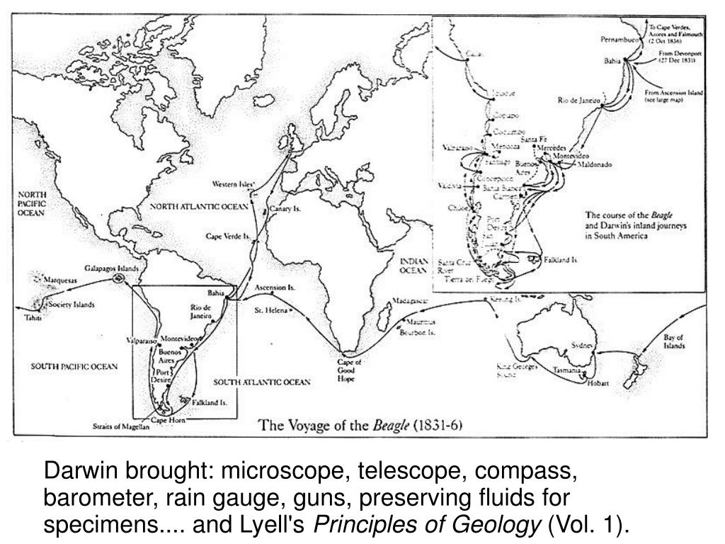 PPT - Layout of the Beagle . The ship was 90ft long by 24 feet wide ...