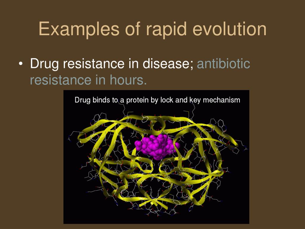 PPT - Life spontaneously arose 4 billion years ago as bacteria-like ...