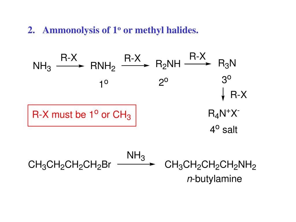 PPT - Amines (organic ammonia) :NH 3 :NH 2 R or RNH 2 1 o amine (R may ...